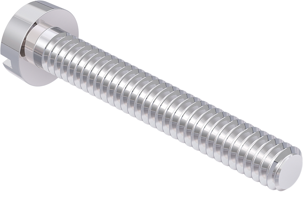 Positioning screw, stainless steel - DENTAURUM USA eShop